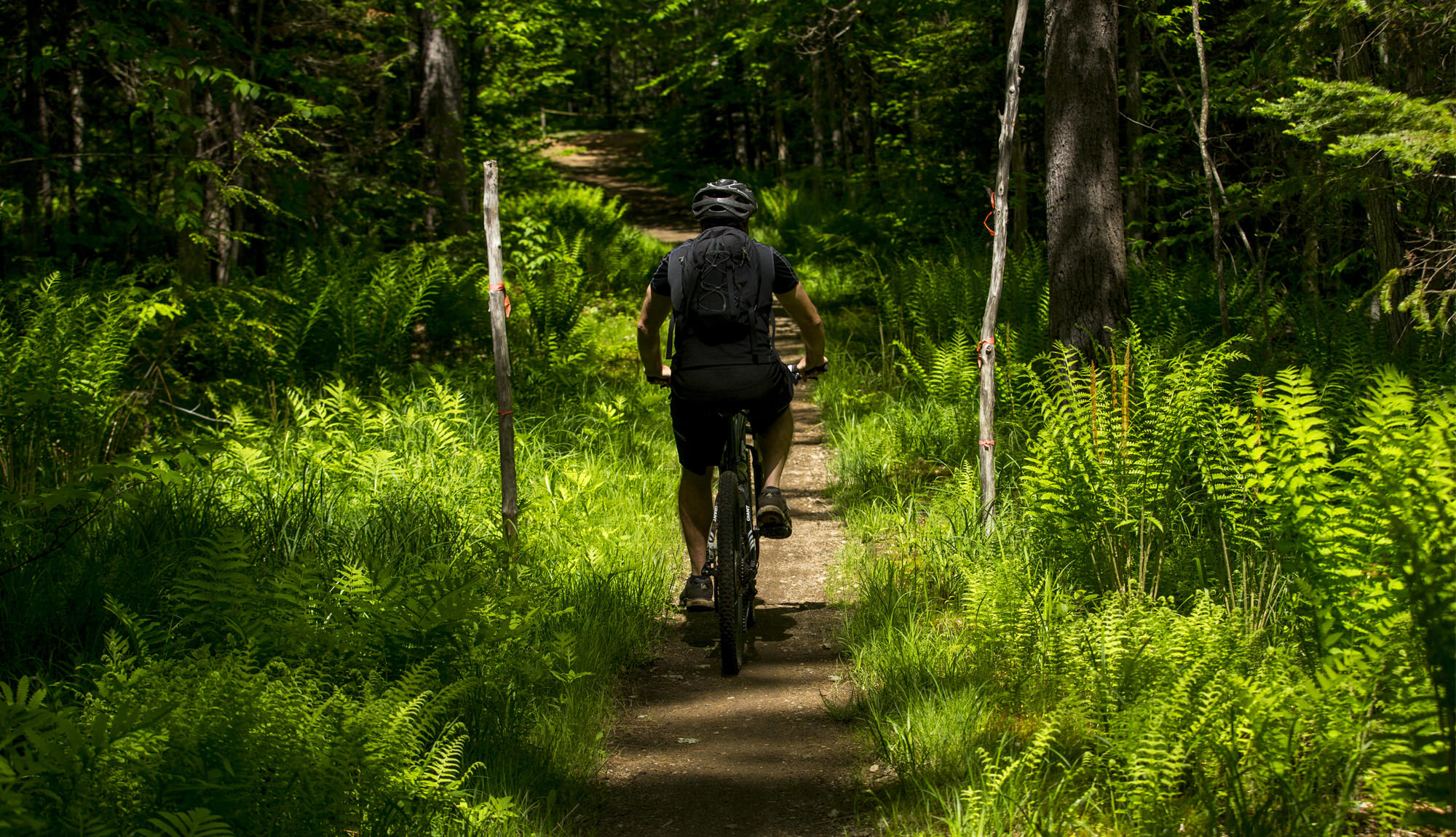 Golf Course Bicycle Trail | Bike Cottage Country