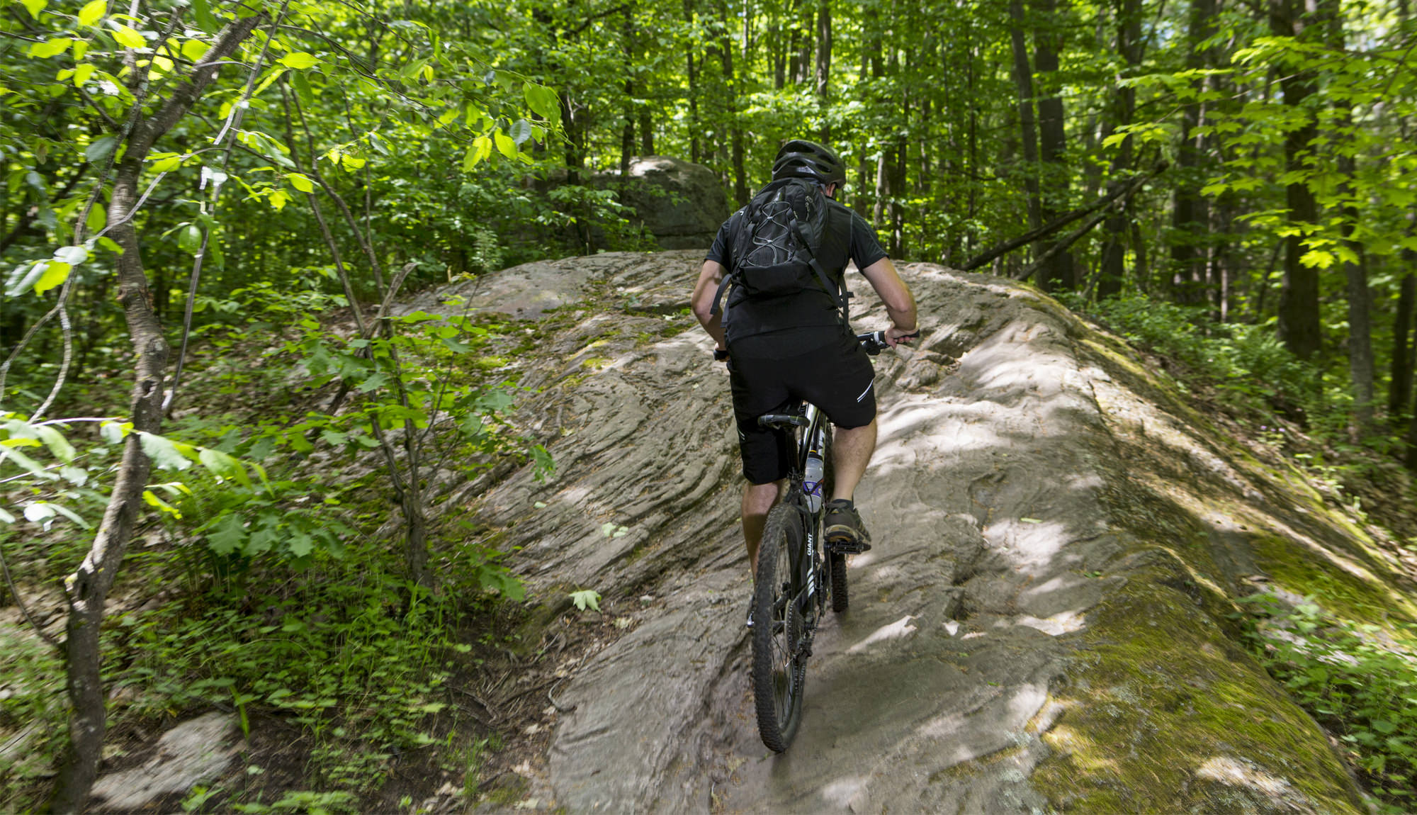 Gnarnia MB Trail | Bike Cottage Country